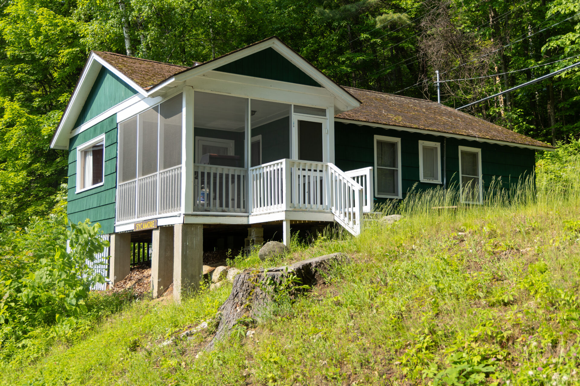 Charming Sycamore Cottage Escape | Cozy & Serene Stay